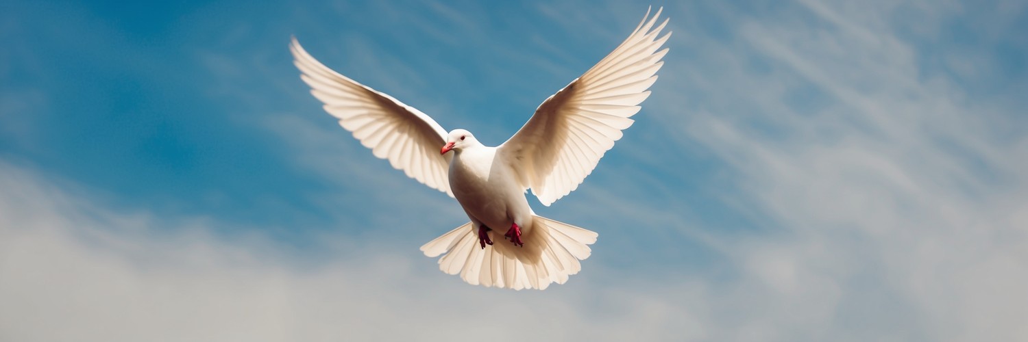 dove - significat, exemples en anglès - JMarian